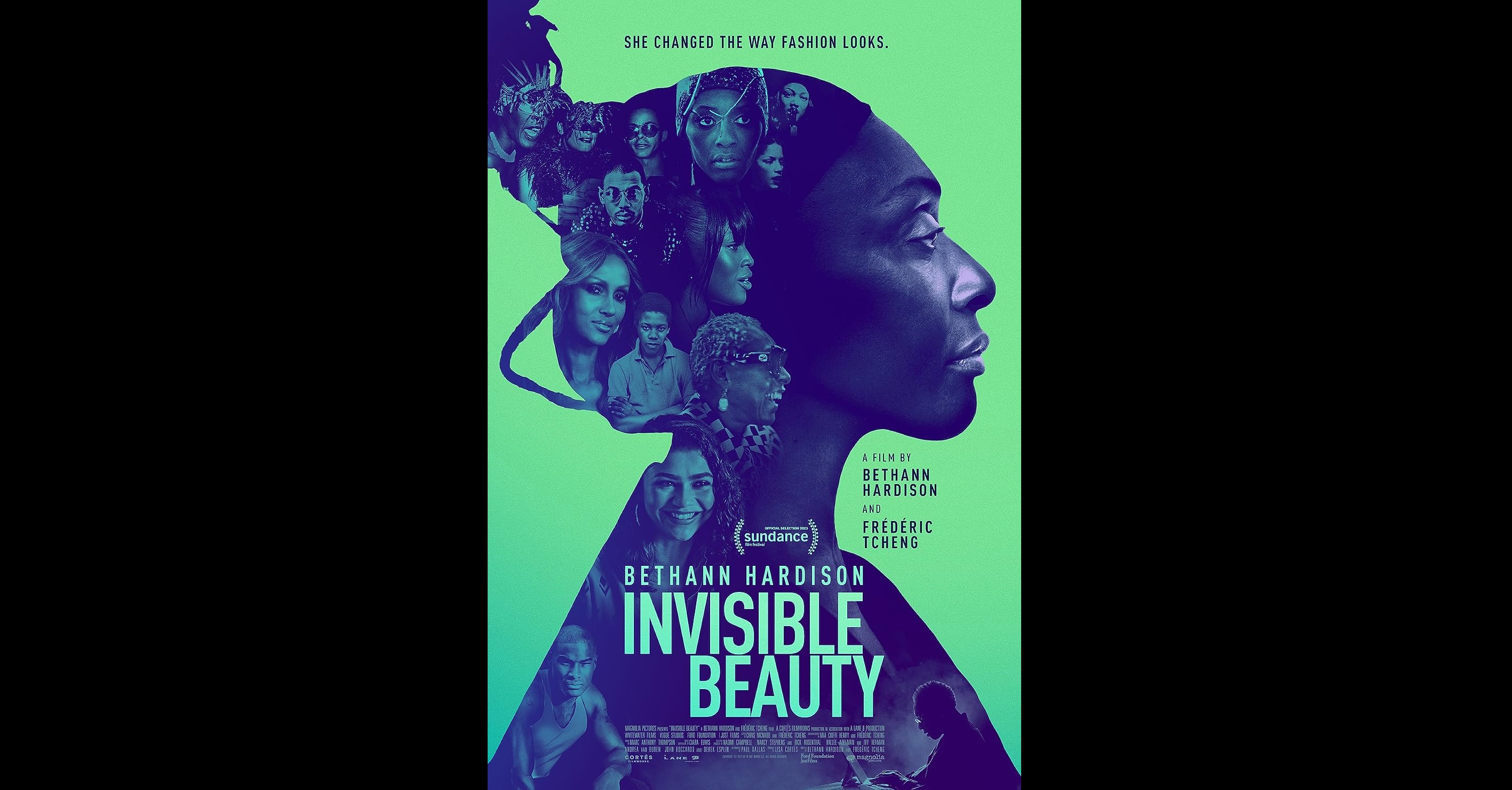 Invisible Beauty - Cinema Village